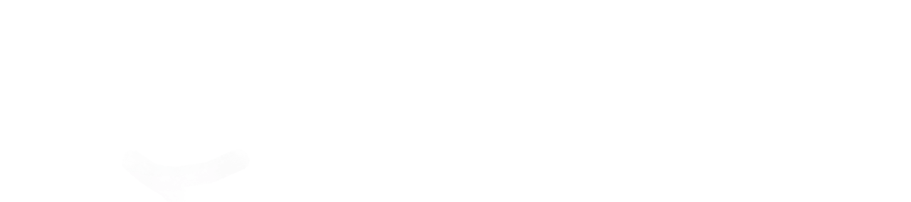 Augment Wellness Business Concept | Spa Franchise Concept